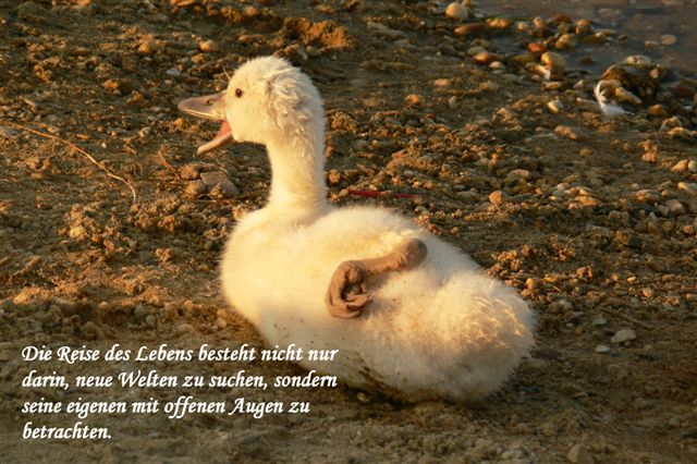 Kooperation & Links | Praxis Besenbruch